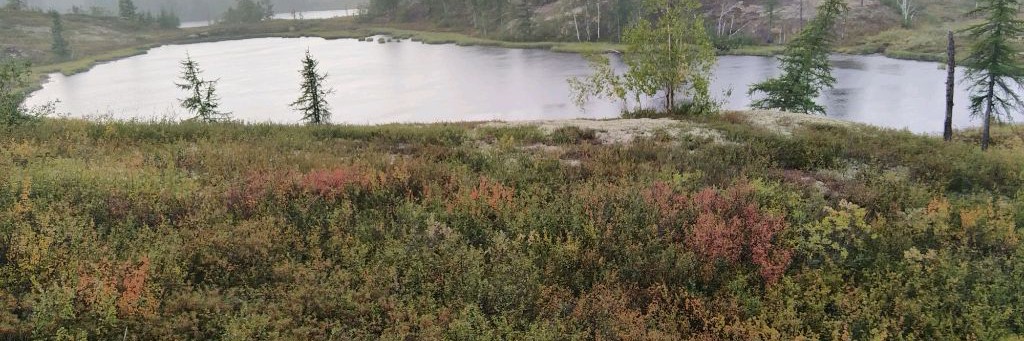 Турист без путевки