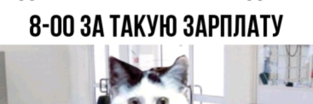 Юмористические Видео