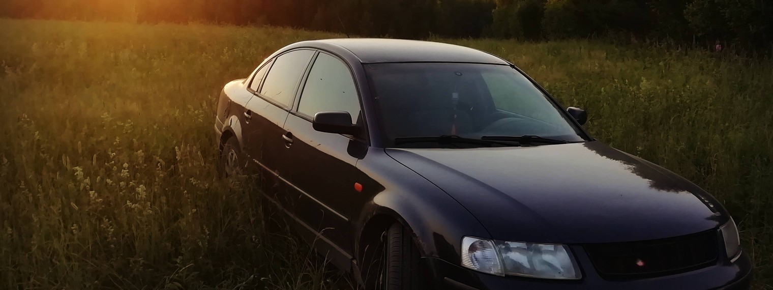 Шишкин Виктор