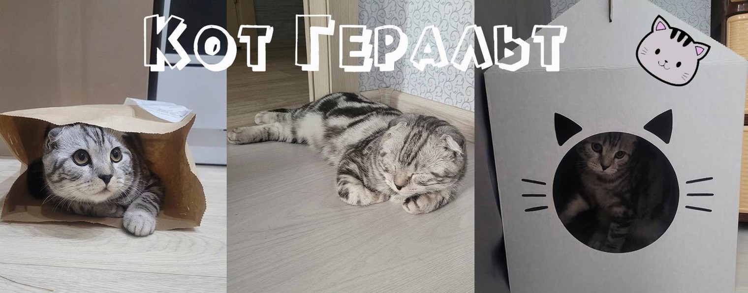 Кот Геральт I Милый котовлог ♡