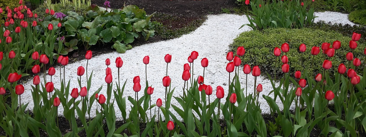 МИР ПРЕКРАСЕН