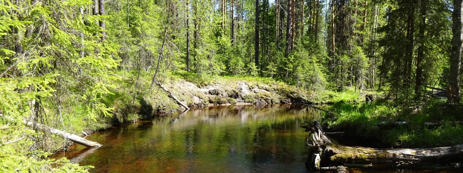 Серёга Миха