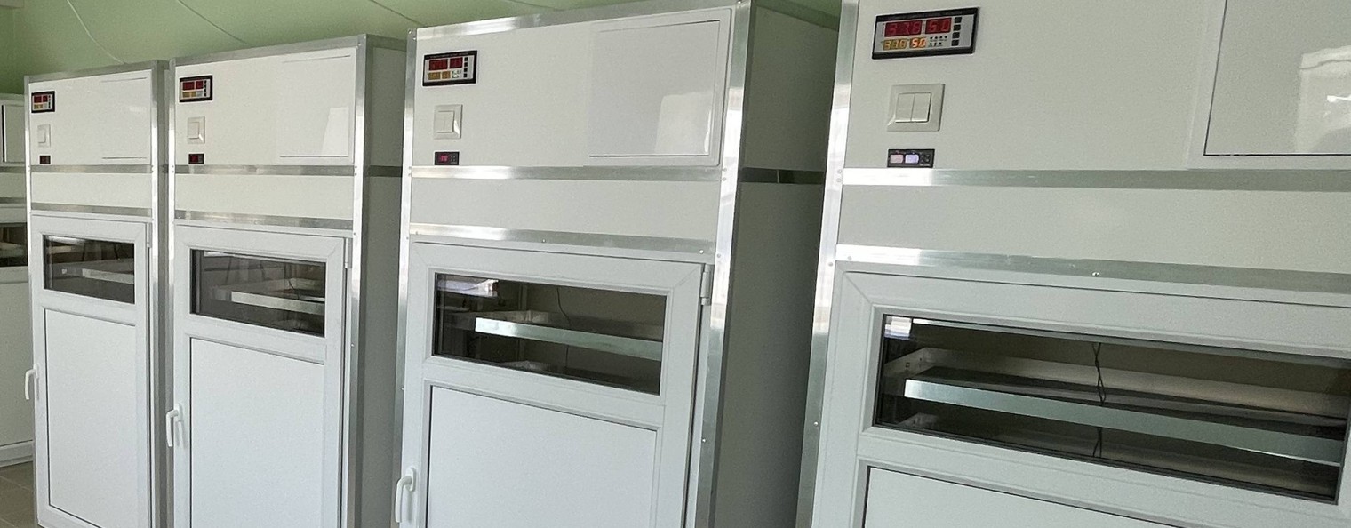 Воронежский инкубатор