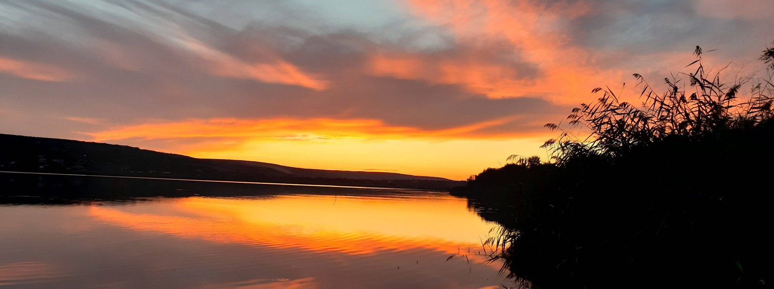 Сергей Крещёный