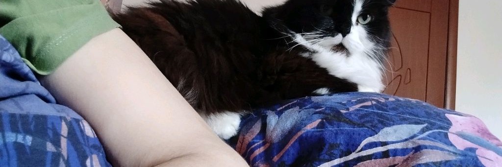 Столяровы-   Family