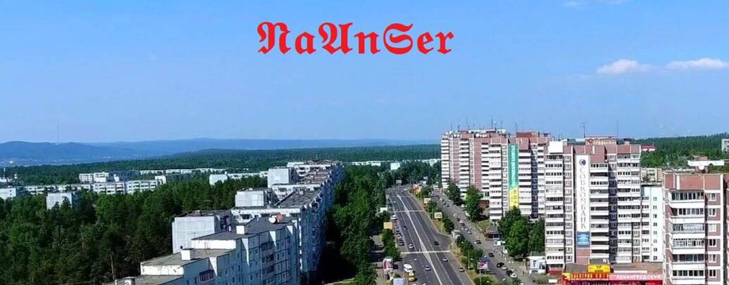 NaAnSer