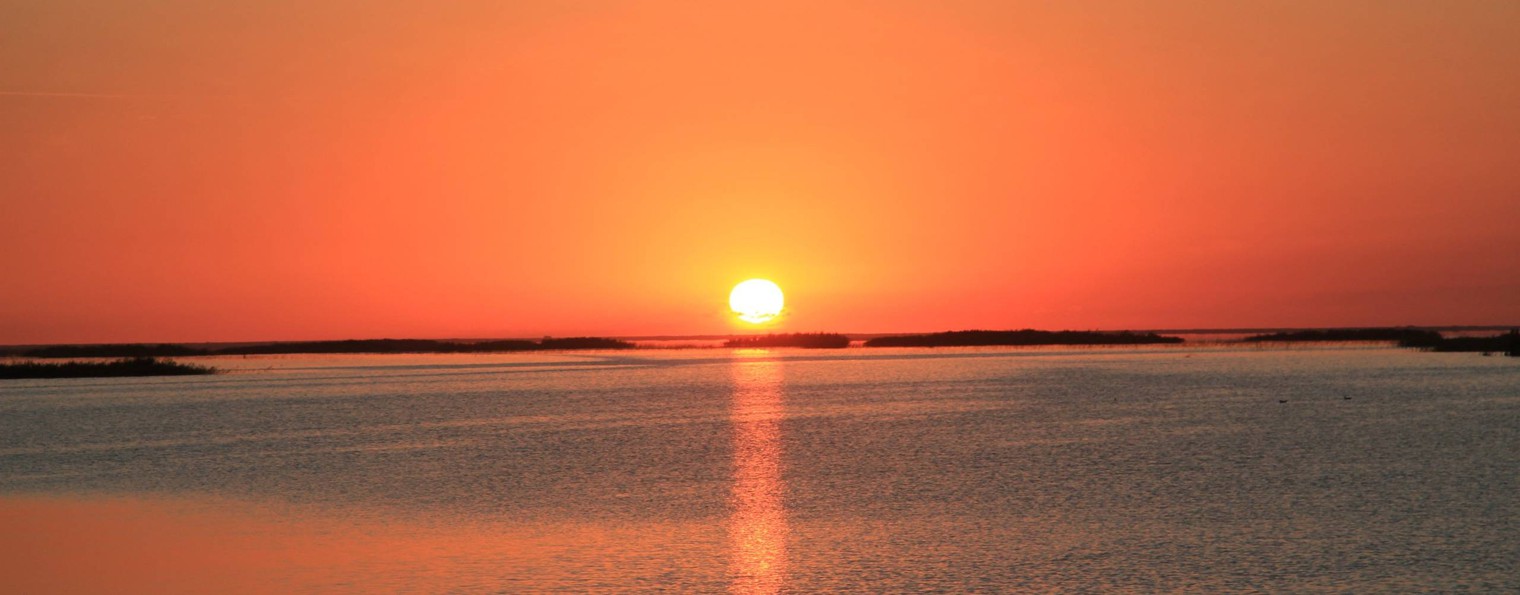 Марина Тастарбекова