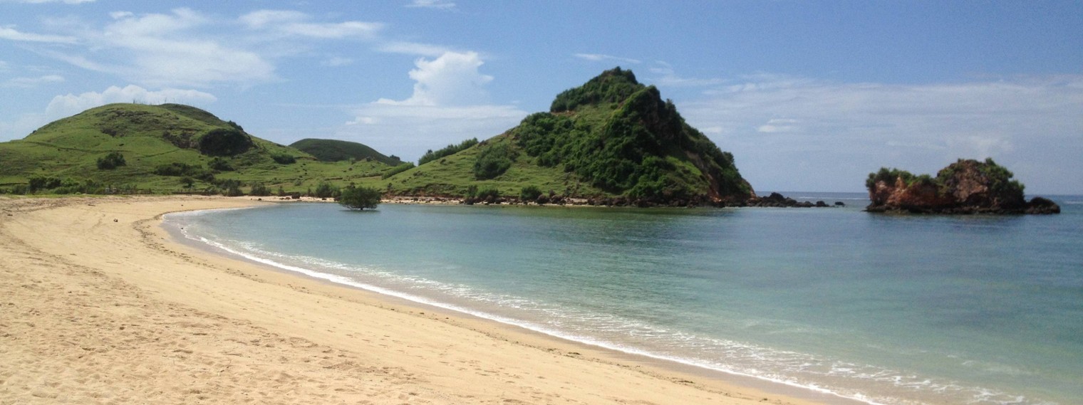 Соседов Пётр - телережиссёр