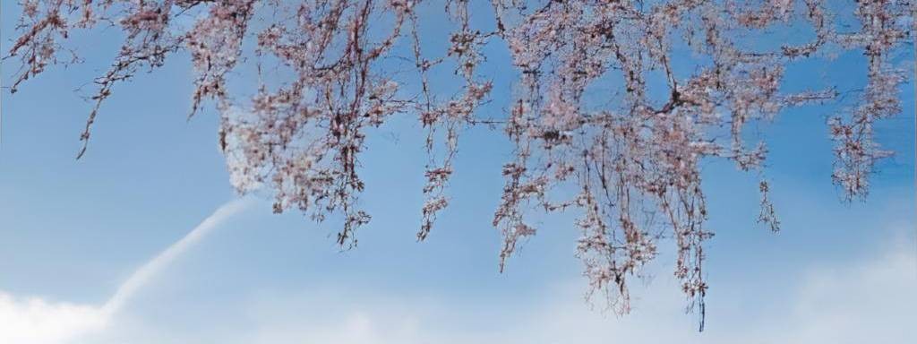 Твое здоровье - это чужой бизнес