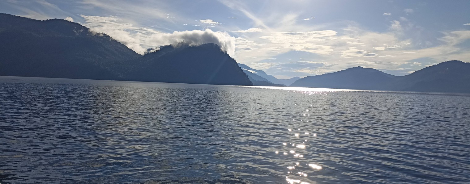 Наталья Лях. Сад, огород и многое другое