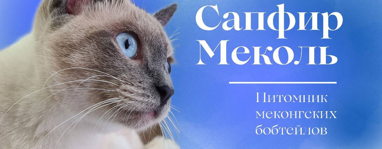 Сапфир Меколь