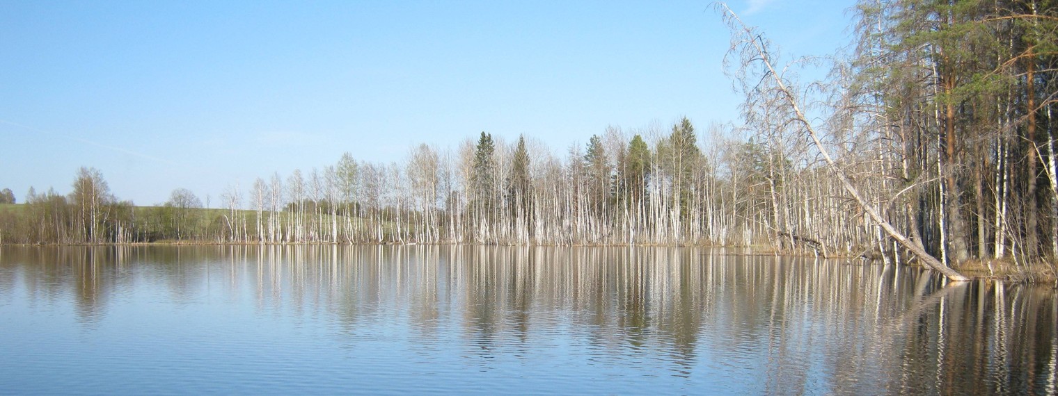 Охота и рыбалка от Александра Лапина