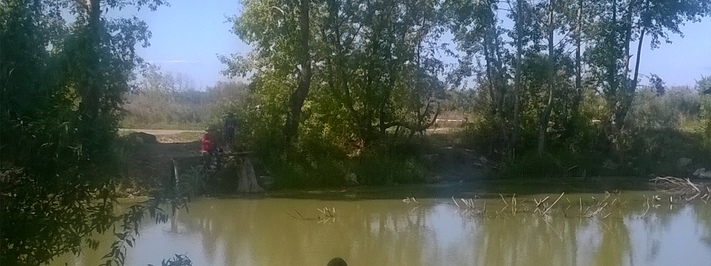 Сергей Разумовский