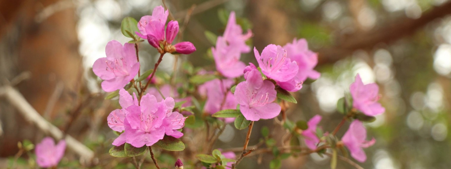 Новые решения