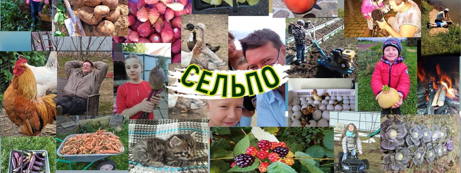 СЕЛЬПО