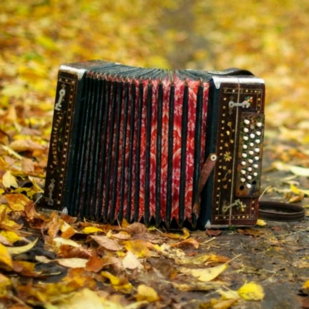 Кочергинская Поляна