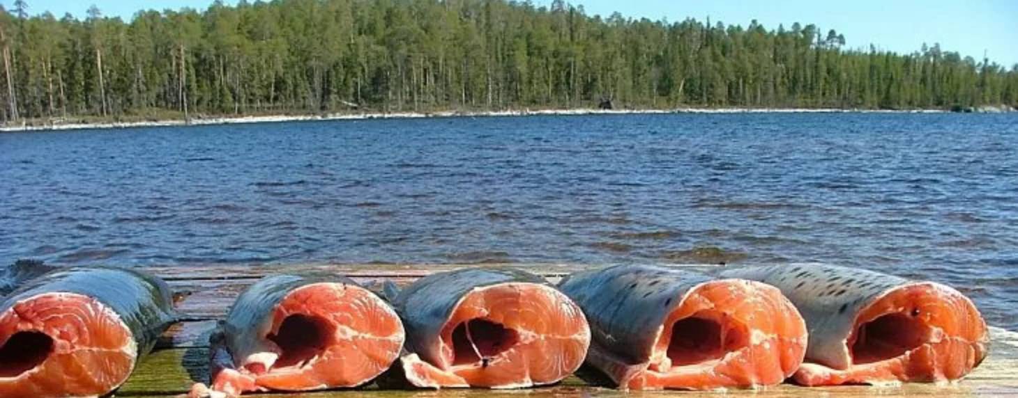 Мужские Туры