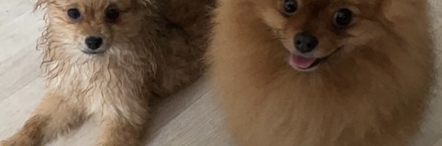 Екатерина_Зыкова