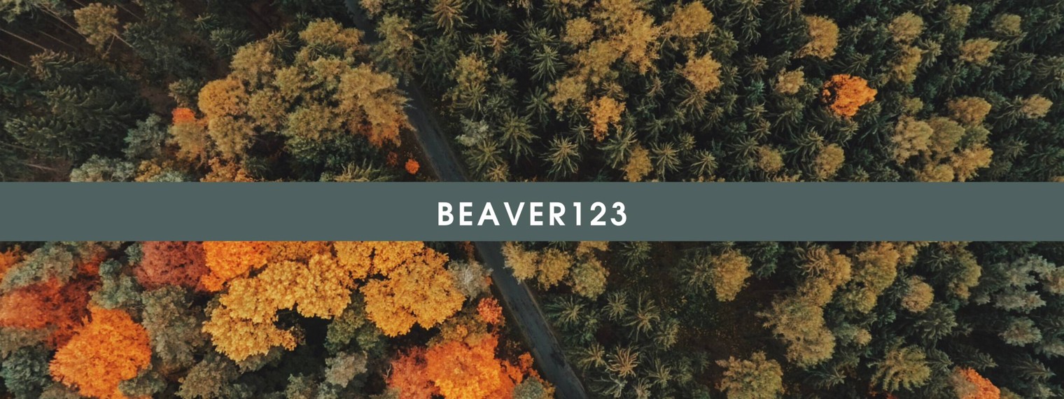 beaver123