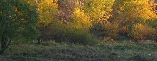 Магические обряды и ритуалы