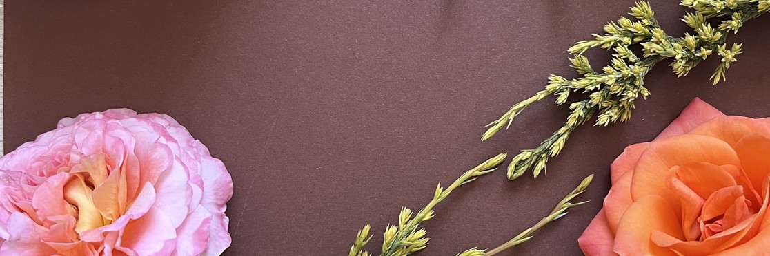 ПОЛНЫЙ ДЕКРЕТ