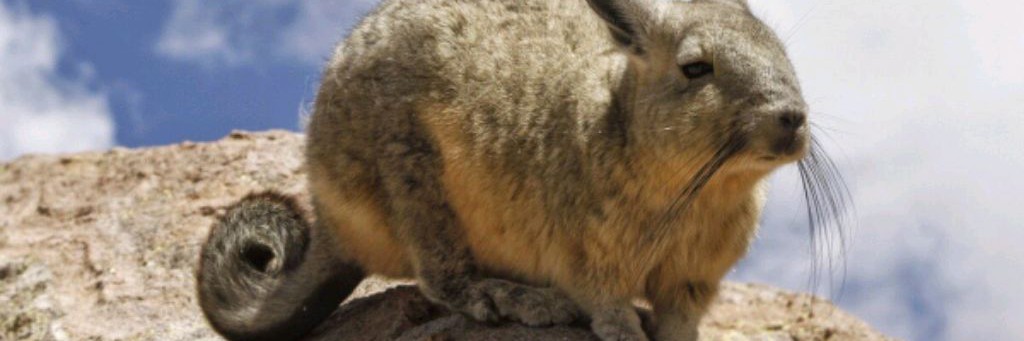 Иван Грозный про