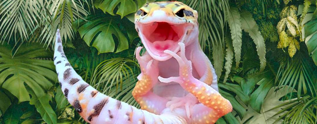 Агуша I love🤟