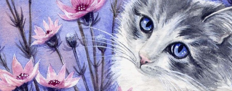 мир моими глазами