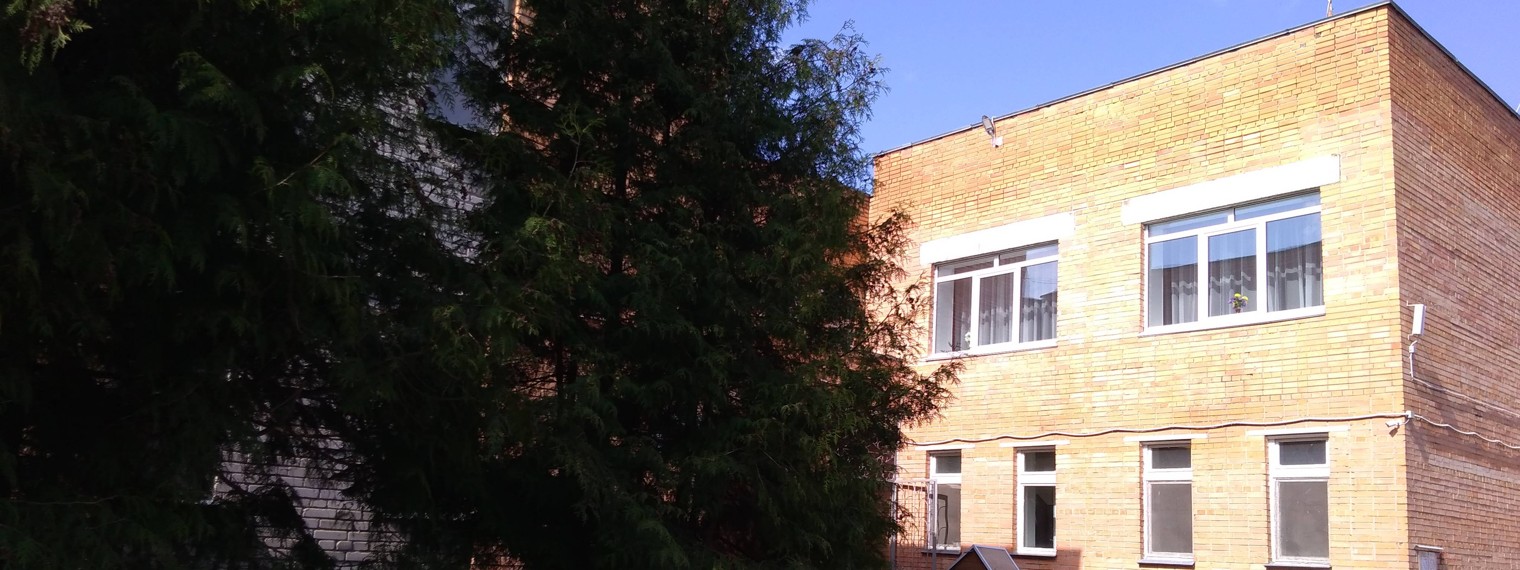 Лариса Забелина
