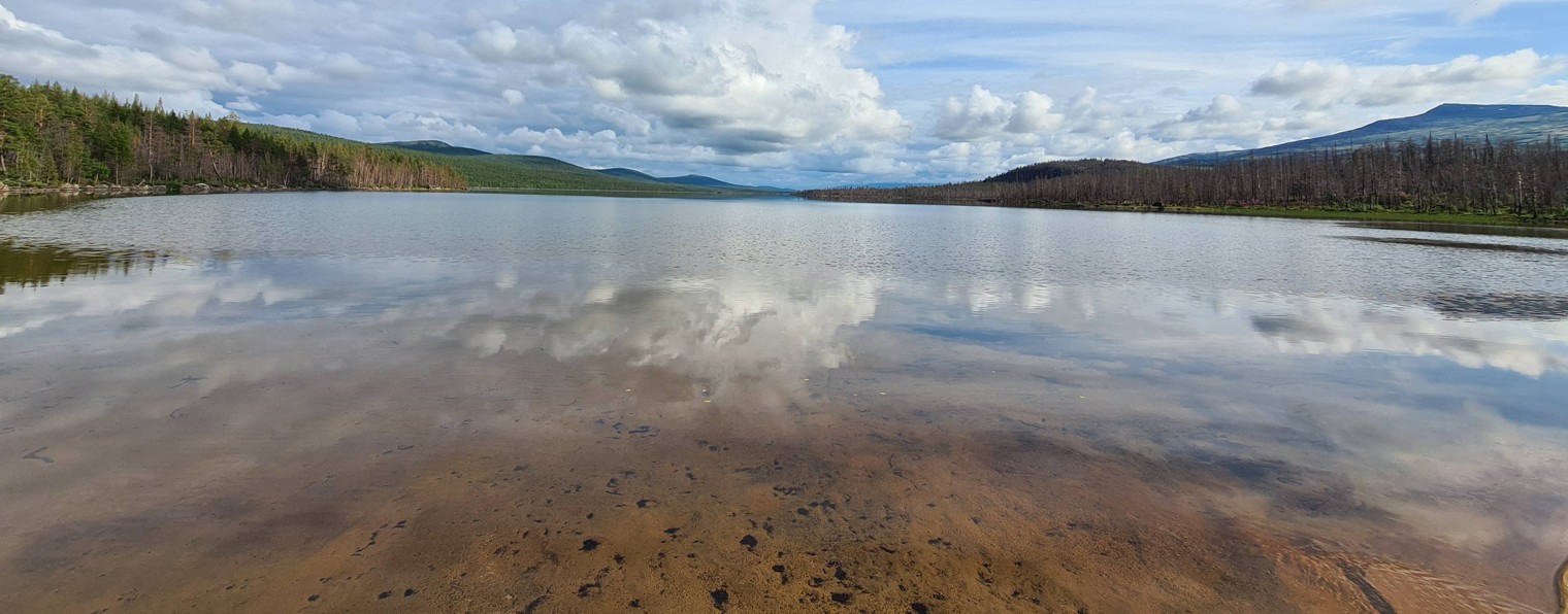 Таежный (Дмитрий Лялин)