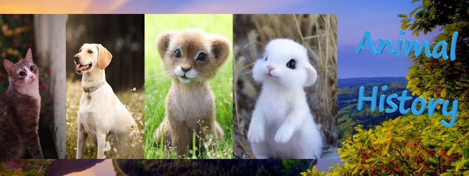 Animal History