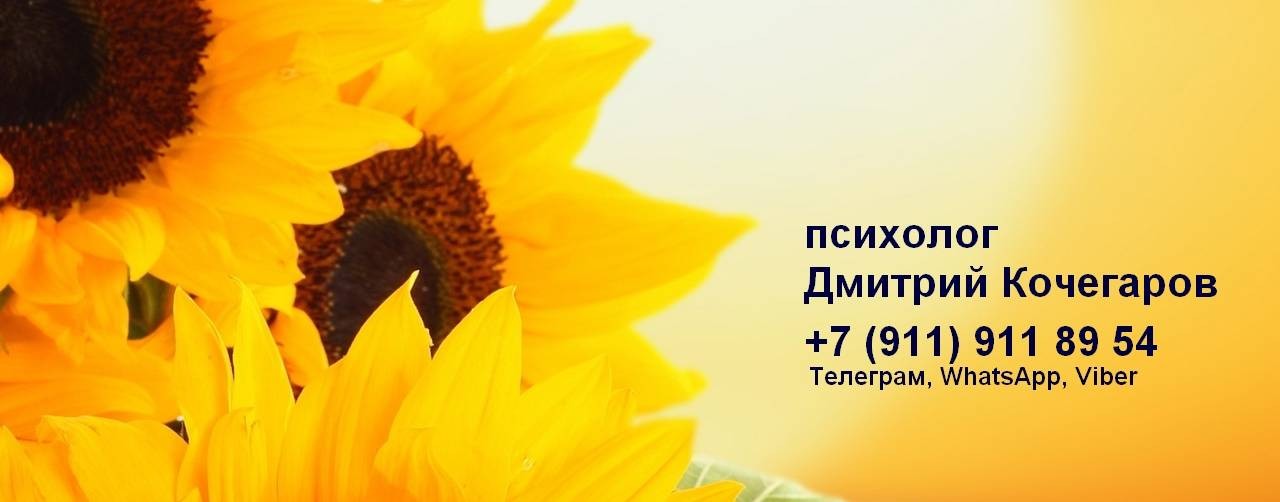 Психолог Дмитрий Кочегаров