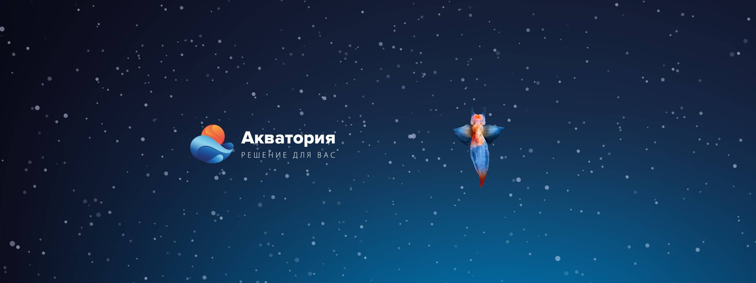 Канал ООО «Акватория»