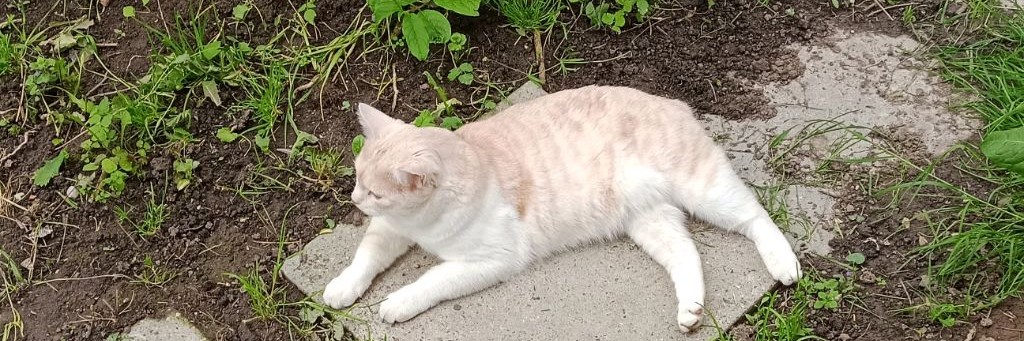 Интересные факты и истории