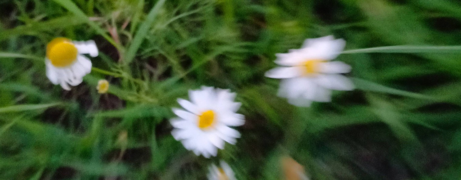 Мир моими глазами