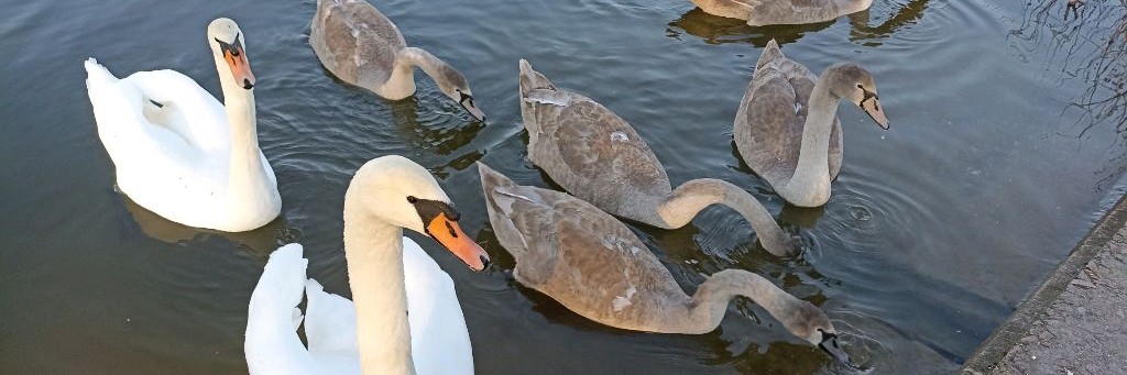Натуська в деревне