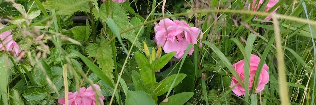 Простая жизнь, простого человека