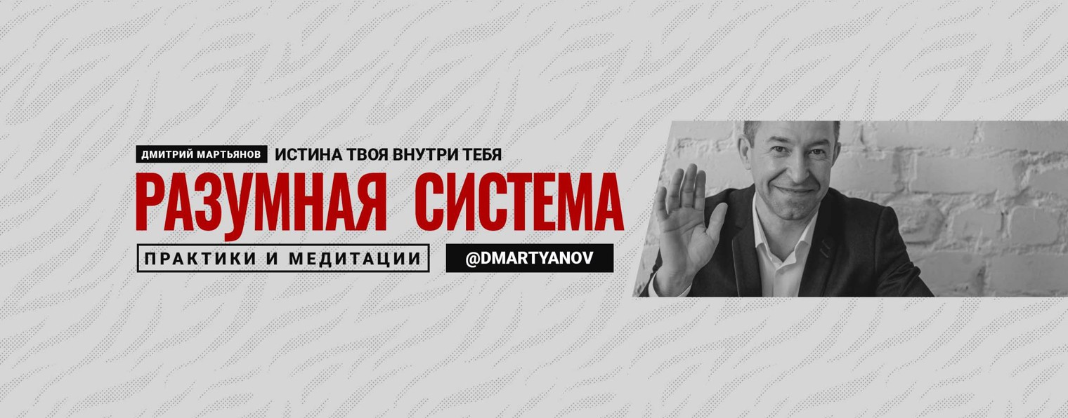 Дмитрий Мартьянов | Разумная система