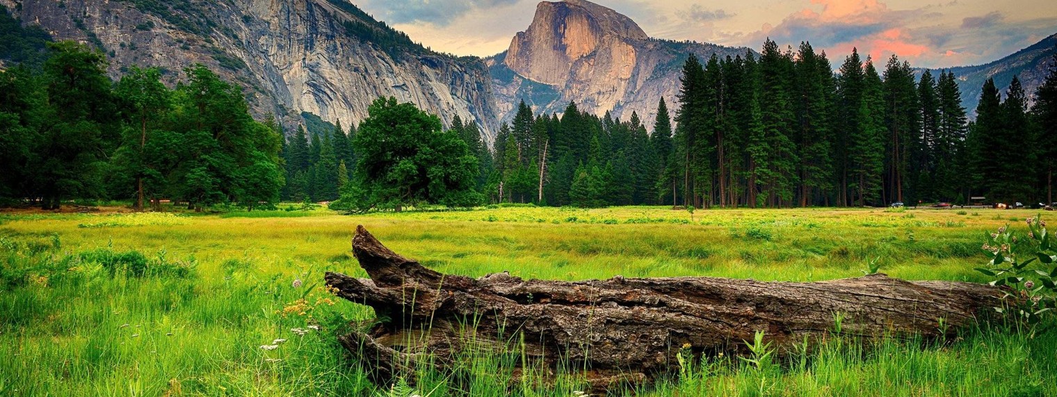 Три енота www.3enota.ru