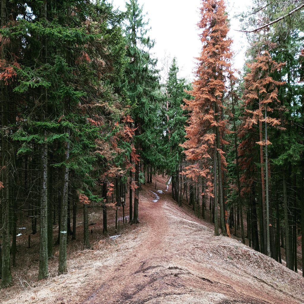 Veniki66 Путешествия с веником в руках