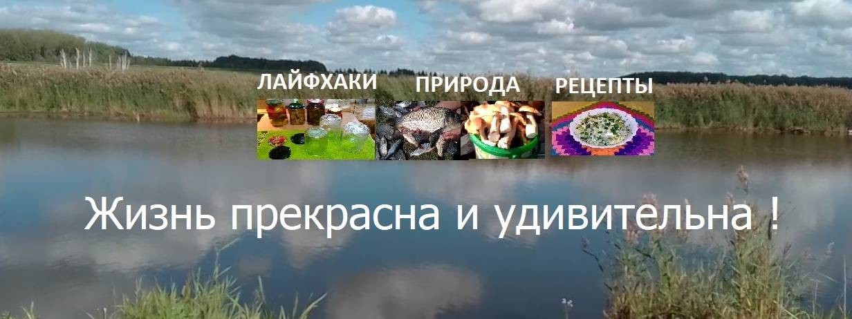 Интересно с Еленой Ф