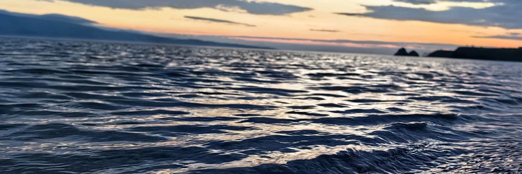 Трое в фисташке не считая Мопса