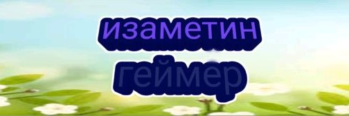 Изаметин геймер