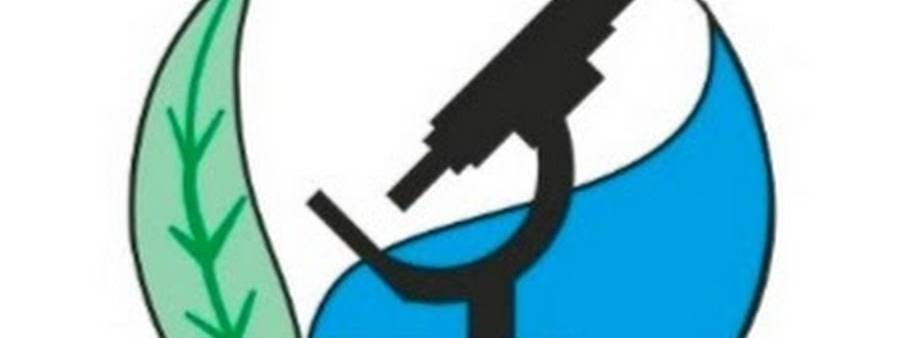 экополис-косино.рф