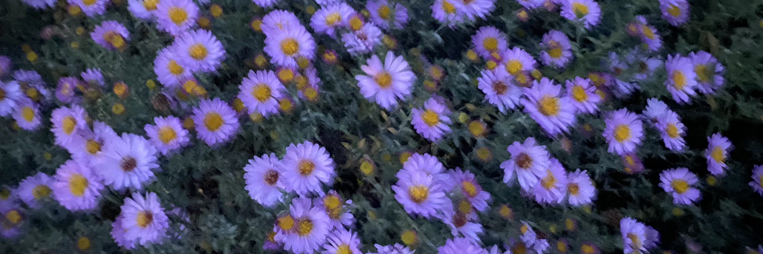 Готовим вместе.