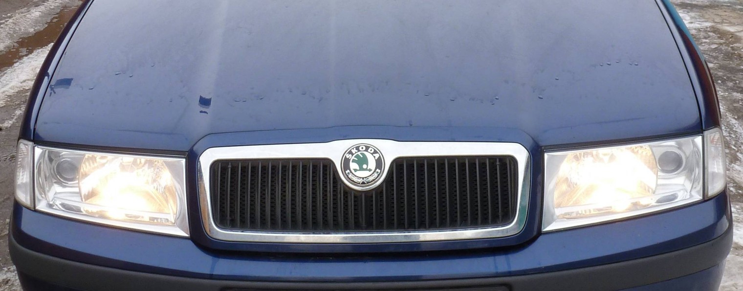 Дмитрий Гордеев\ Octavia-a4\ Frutman