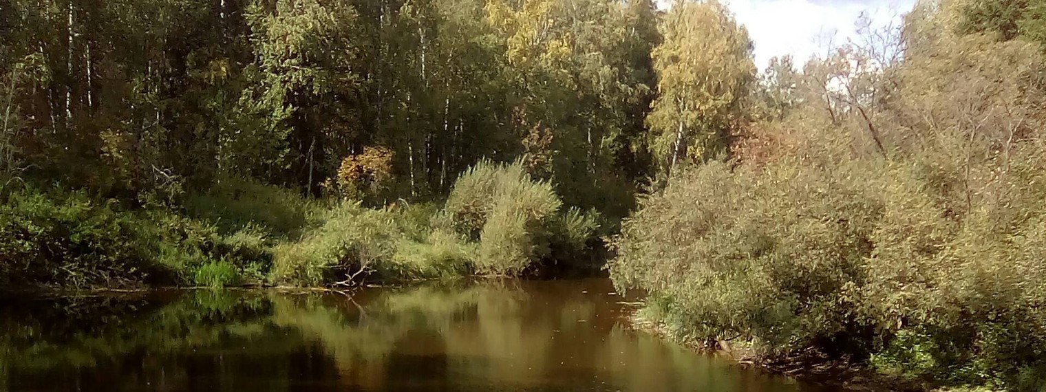 Сергей (Сельский житель).