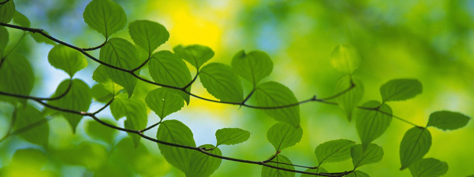 Познавательный канал