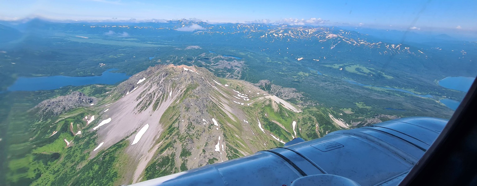 Может это Сон