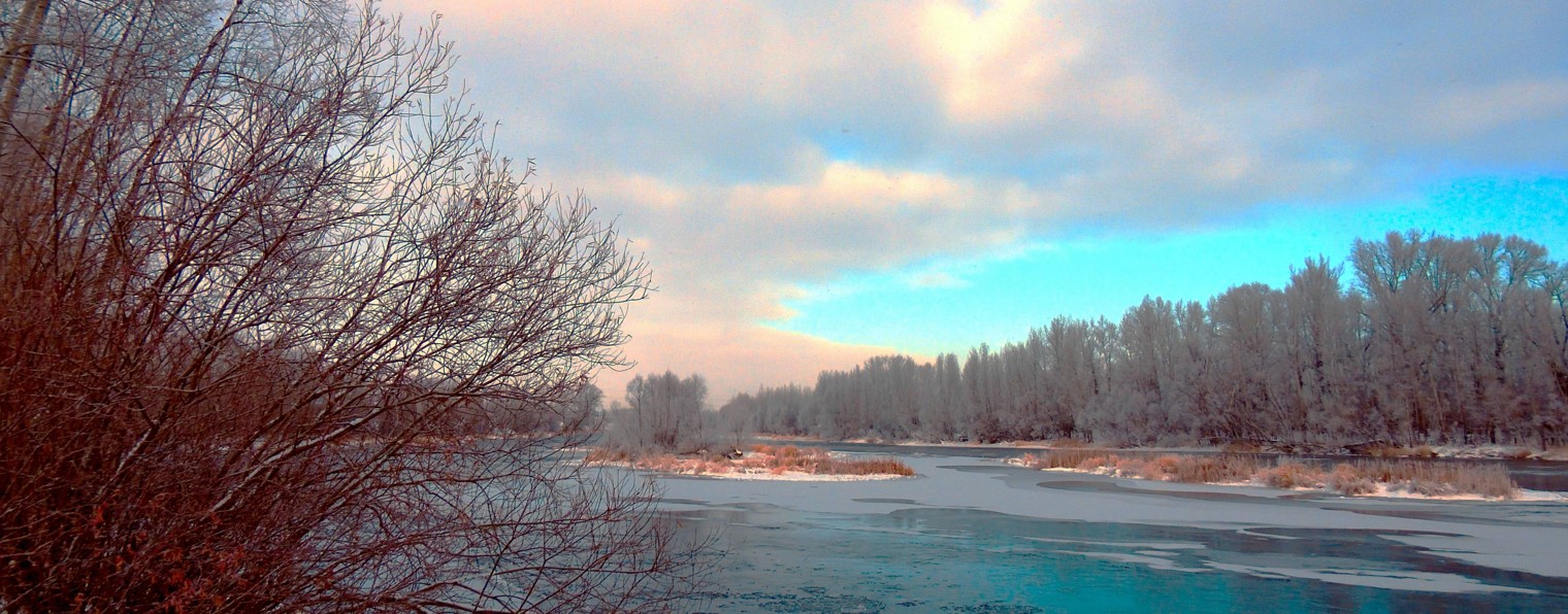 "Жители Мелеуза"